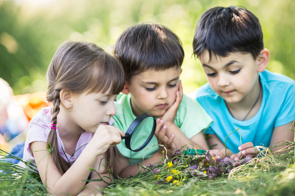 Program Considerations for Establishing a Nature Preschool | Natural Start