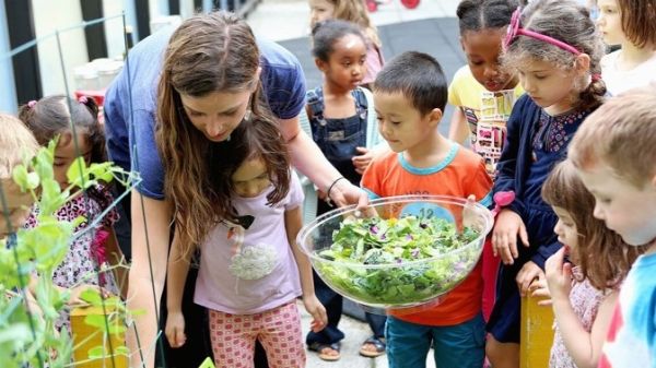 What Is Outdoor Nature-Based Early Learning? | Natural Start Alliance