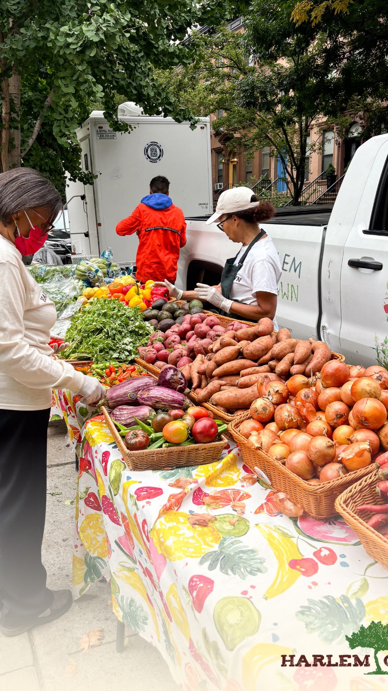 Member Spotlight: Harlem Grown | Natural Start Alliance